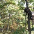 Big Game Treestands | 6 Summer Projects That Bring Deer Closer To Your ...