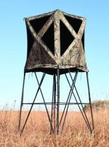 Leave a Reply Cancel reply